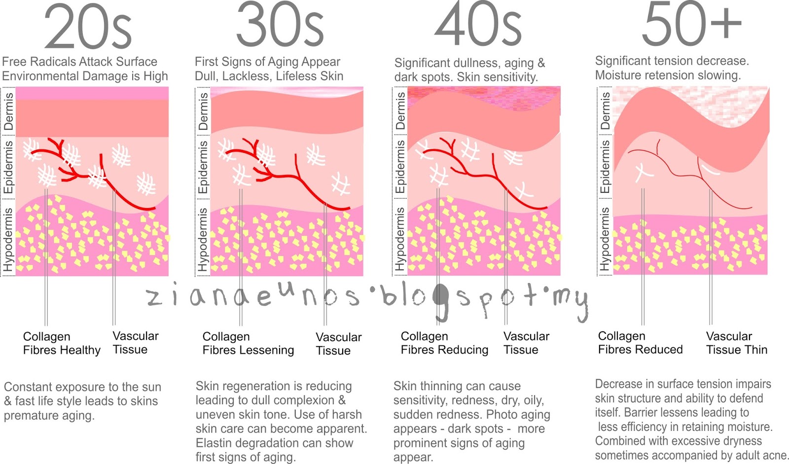 Kebaikan Dan Kelebihan Yang Ada Dalam Collagen Plus Powder Shaklee.