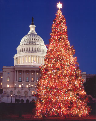 The Journey Starts Here...: Christmas Traditions in the US