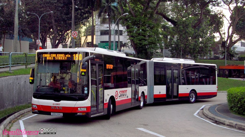 (buses[IN]gapore!): SMRT Buses : MAN NG363F A24/Gemilang (licensed Lion ...