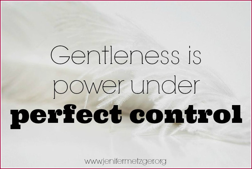 Jenifer Metzger : Perfect Power