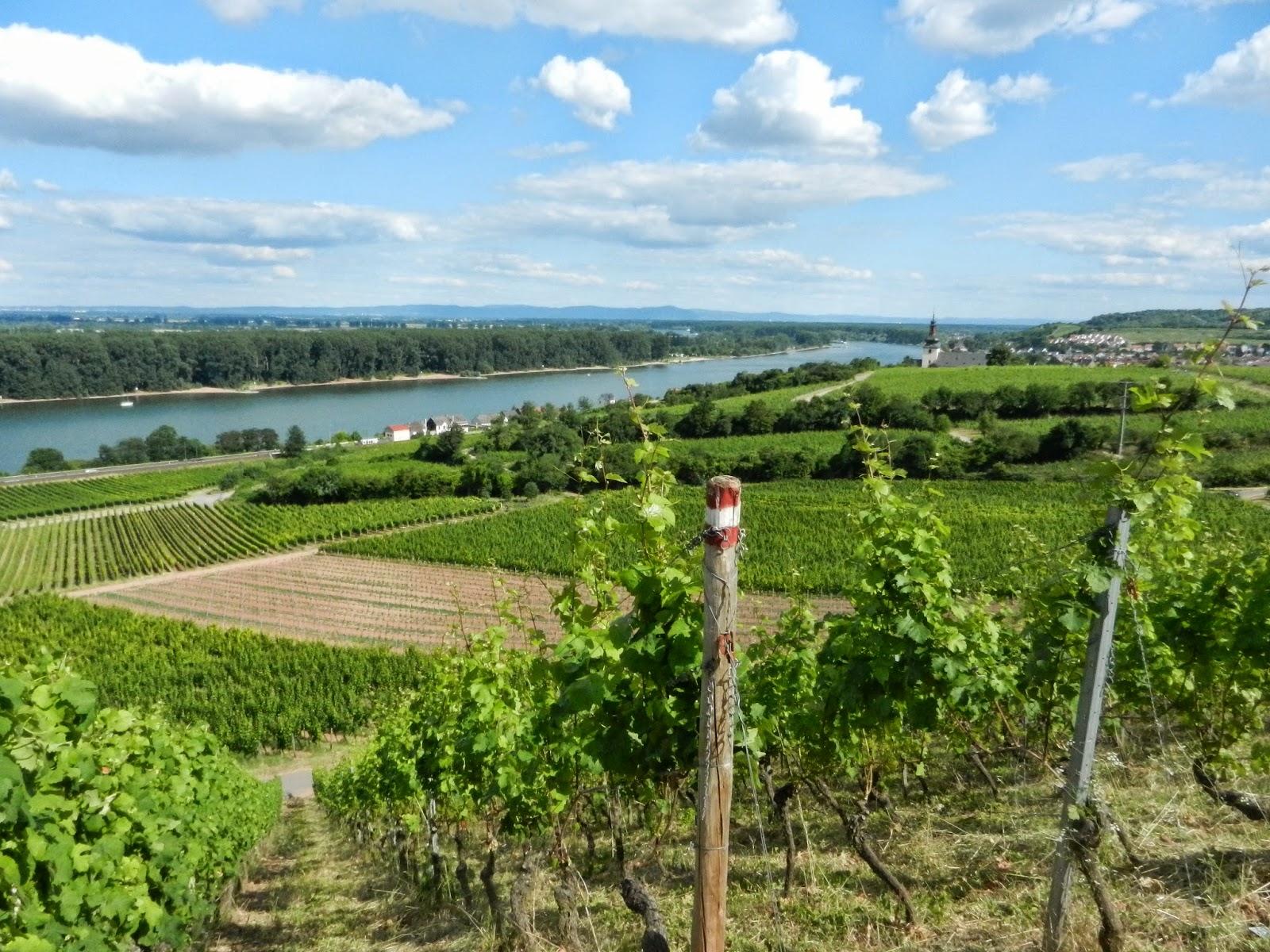 schiller-wine: Tasting the Wines of the Roter Hang (Red Slope ...