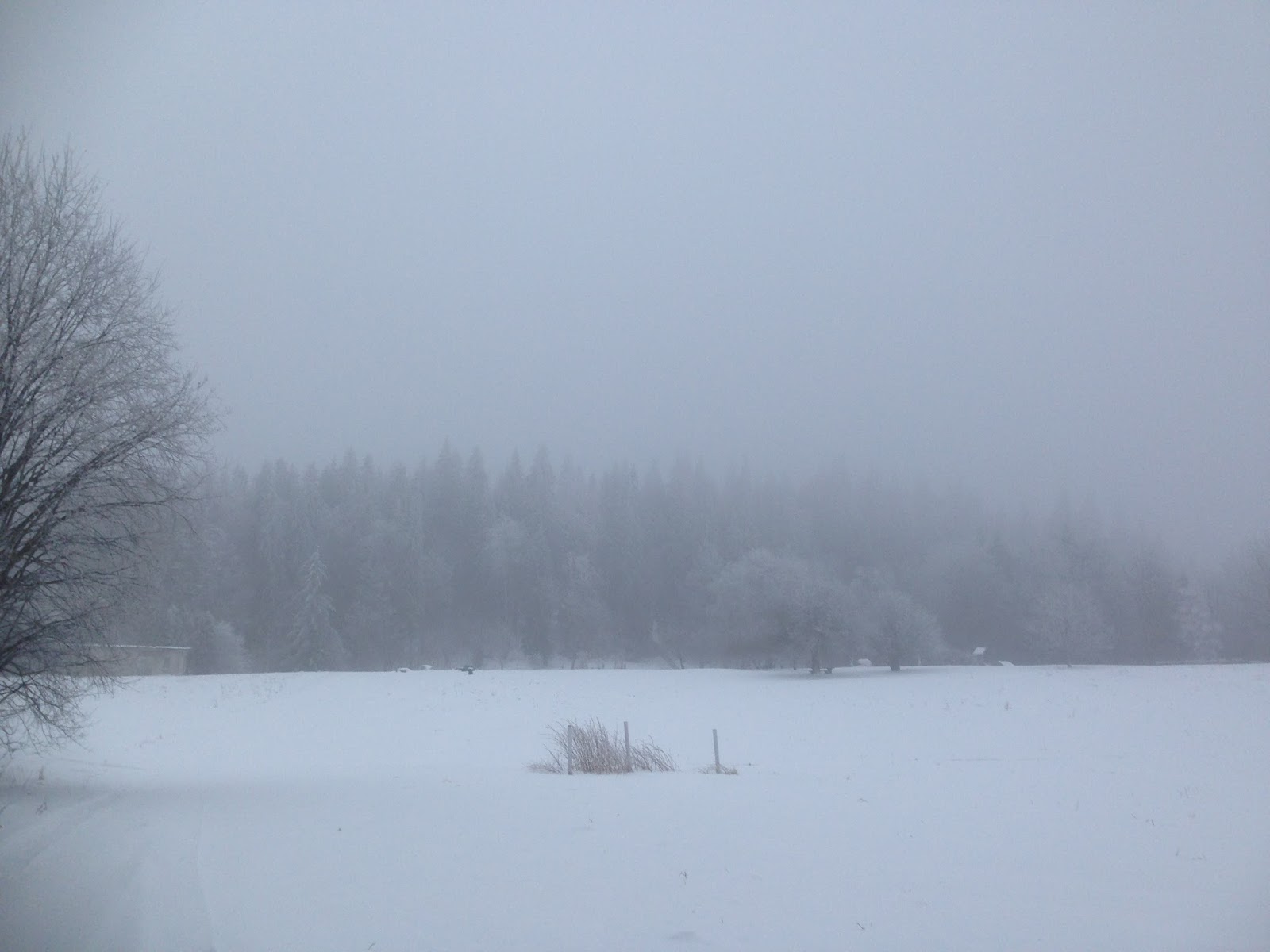 otsetee blogi: 35. päev Haanja - Rõuge 14km