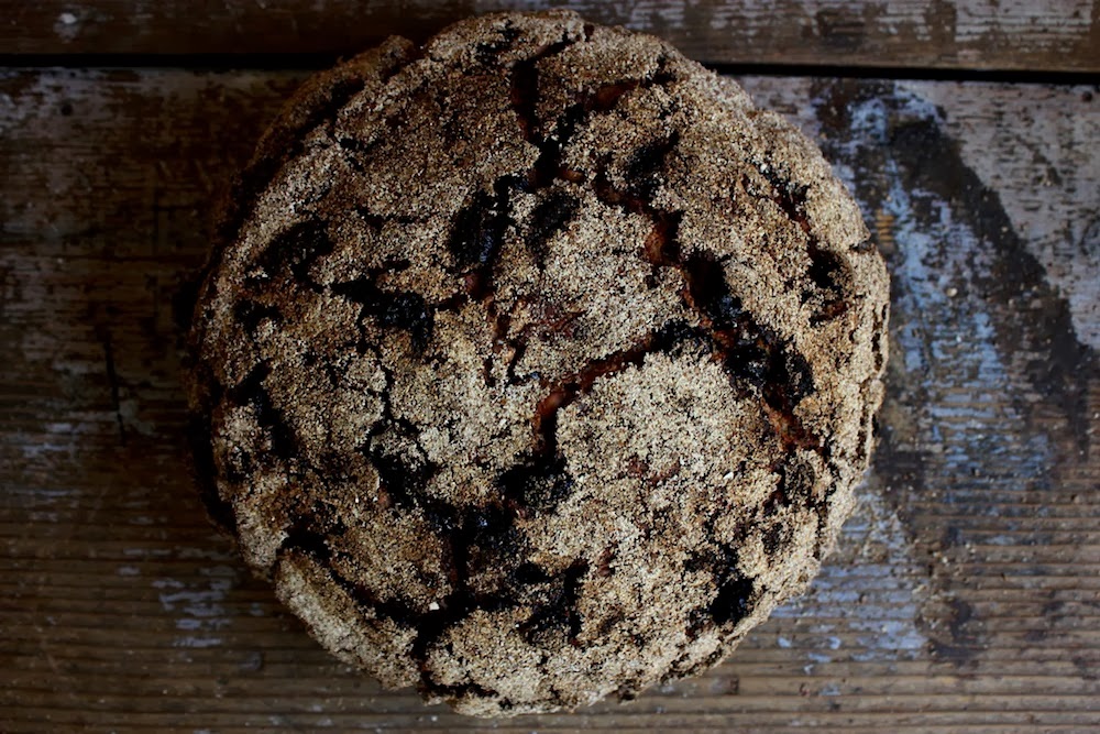 Tartine Bread Experiment: Sidebar Sunday: Happy Accident 100% Sprouted Rye