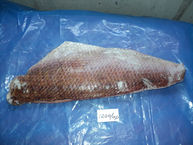 Butterworth Seafoods: WHITE SNAPPER WHOLE & FILLET - INDIAN ORIGIN