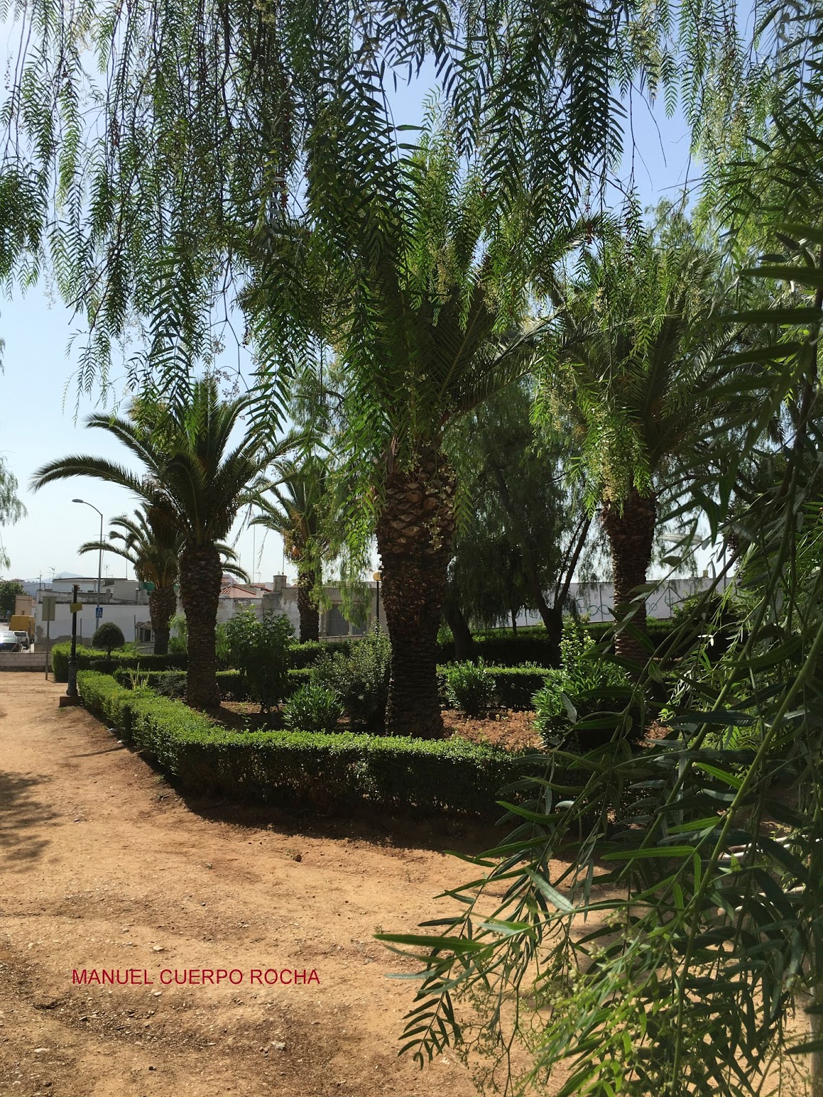 PARQUE MUNICIPAL DE MONTIJO: 2017