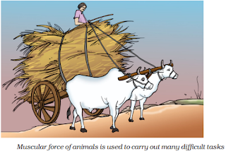 Notes of Ch 11 Force and Pressure| Class 8th Science
