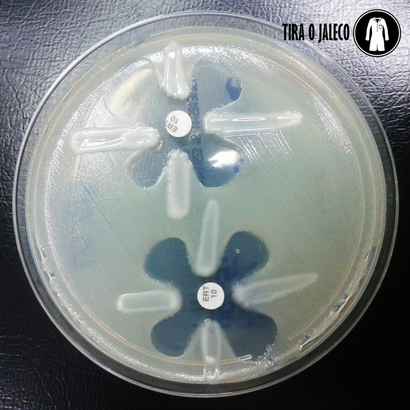 KPC - Teste de Hodge Modificado - Tira o Jaleco