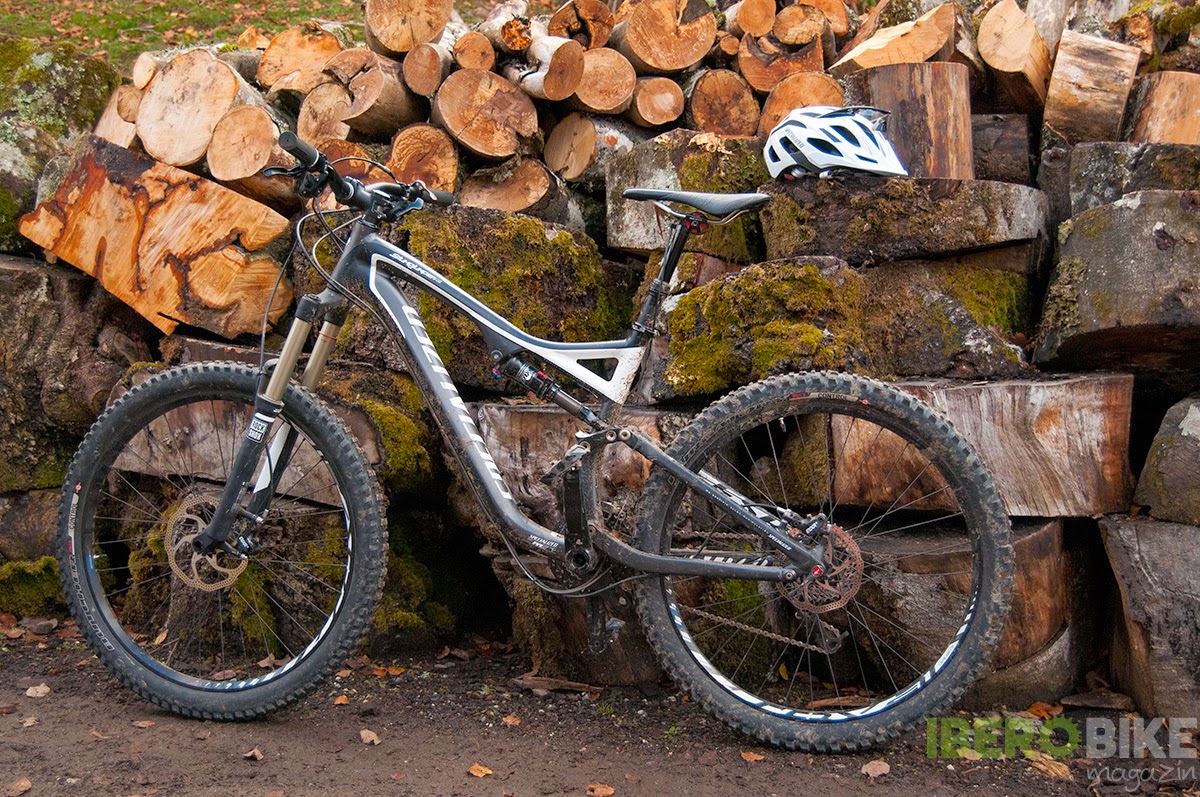 Specialized History: Specialized History