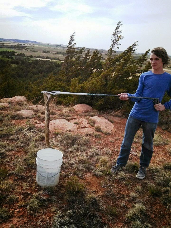 OkieJ On The Road: Waynoka Snake Hunt 2014