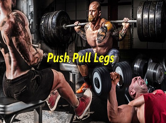 The Push/Pull/Legs Routine for Best Muscle Gains ~ www.bodybuilding110.com
