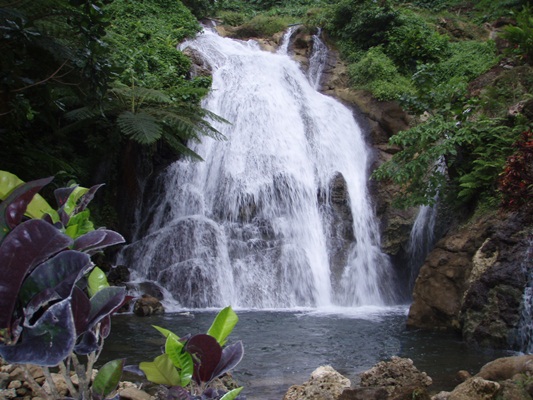 Trautz' travel saga: YOLO on Ambae and Meawo