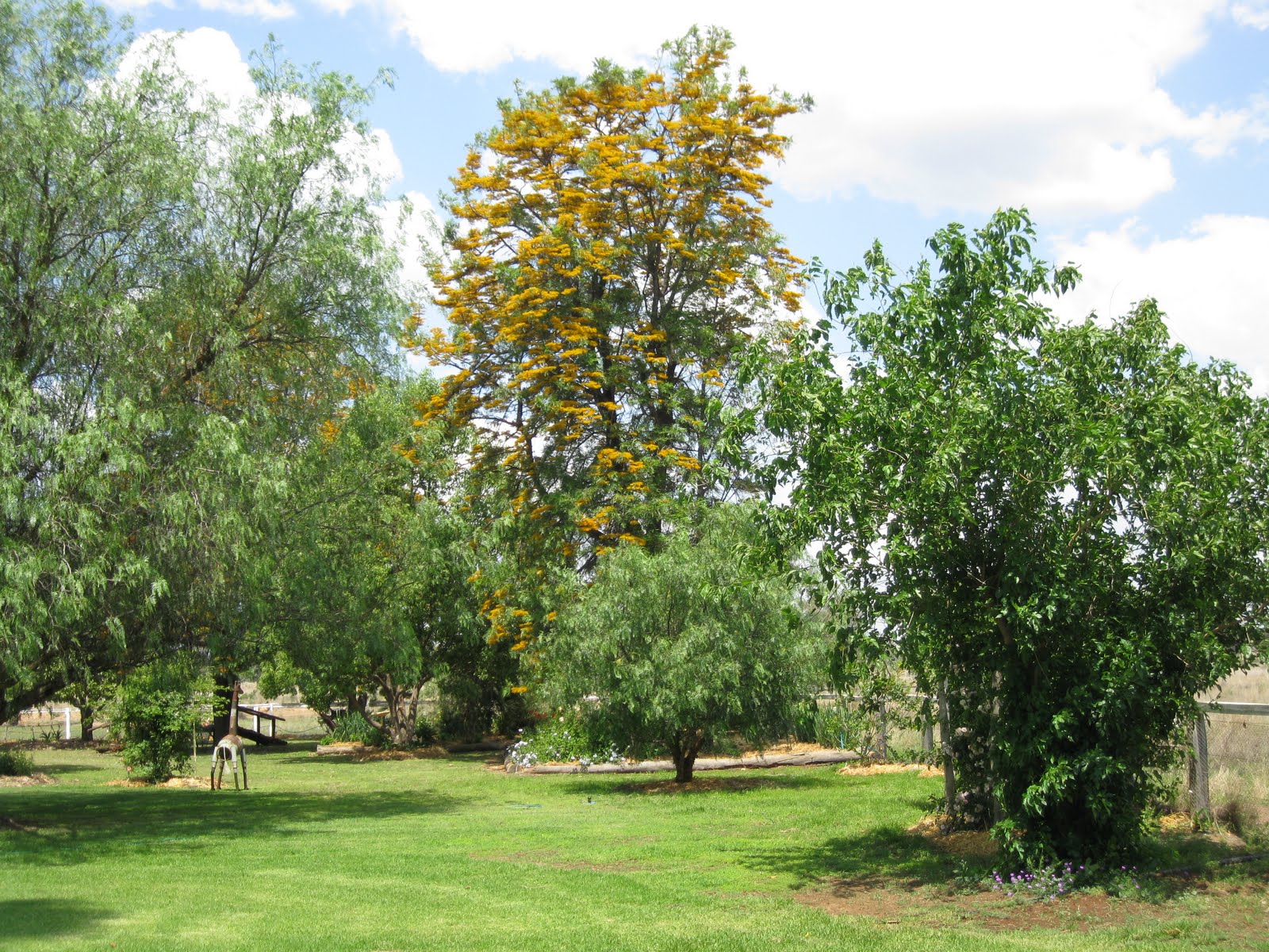 Robin's Double Life: Bonus Downs: Mitchell Qld
