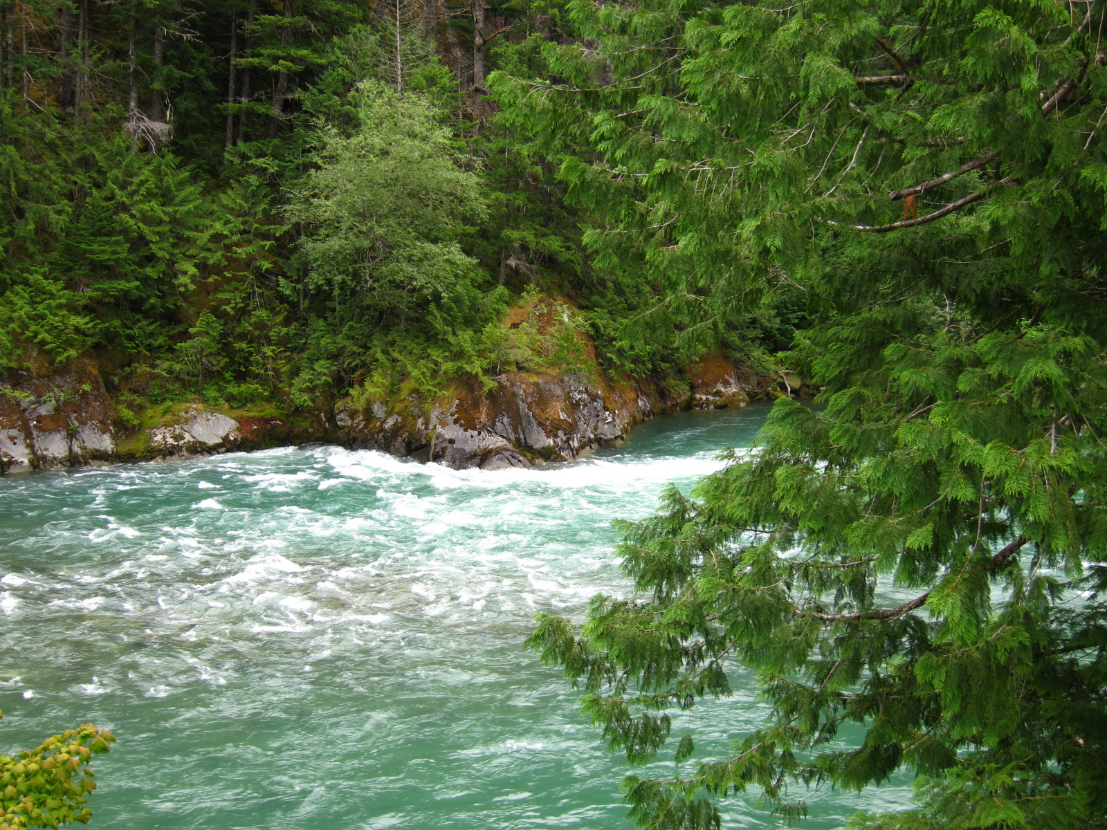 Pacific Northwest Seasons: The Great Northwest: Rivers Run Through It