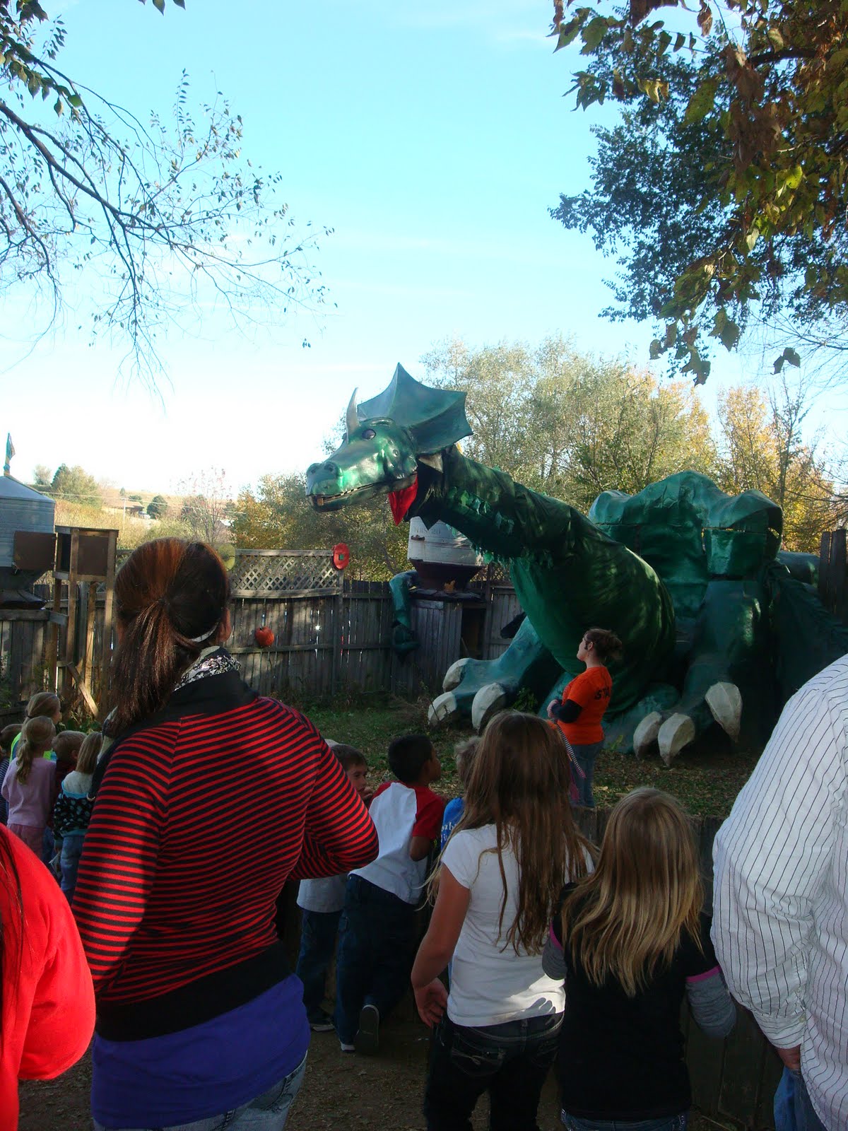 The Life of Calli: Valas Pumpkin Patch!
