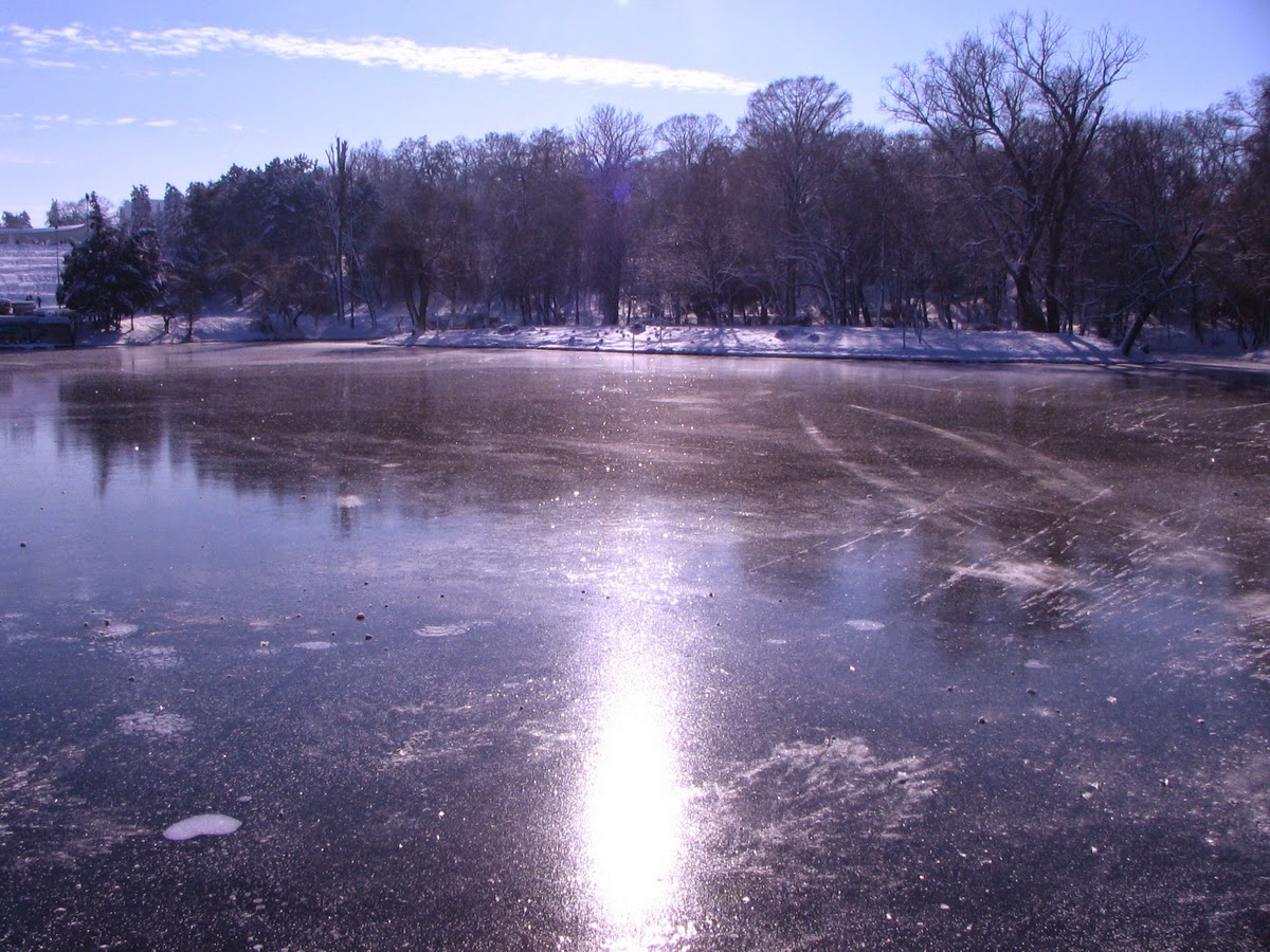 LA MULTI ANI, ROMANIA!: Peisaje cu lacul inghetat