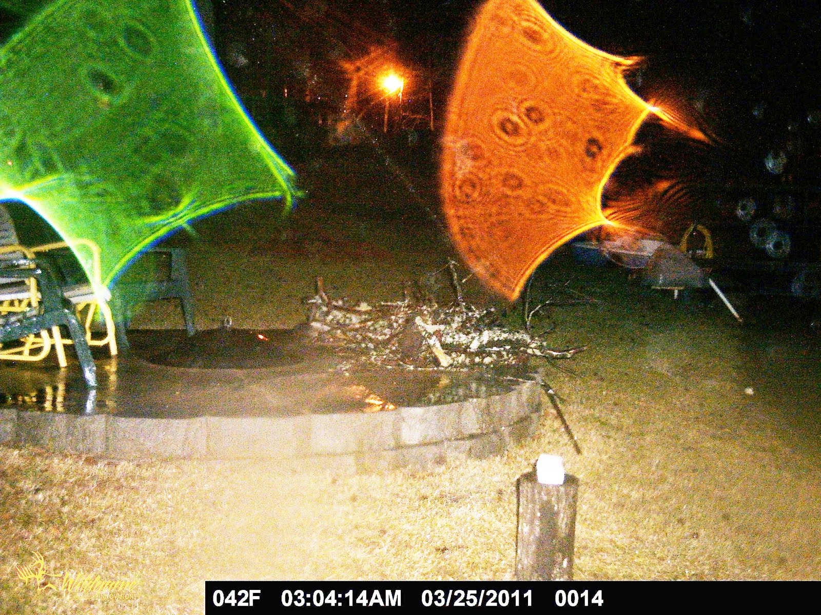 Phantoms and Monsters - Real Eyewitness Cryptid Encounter Reports