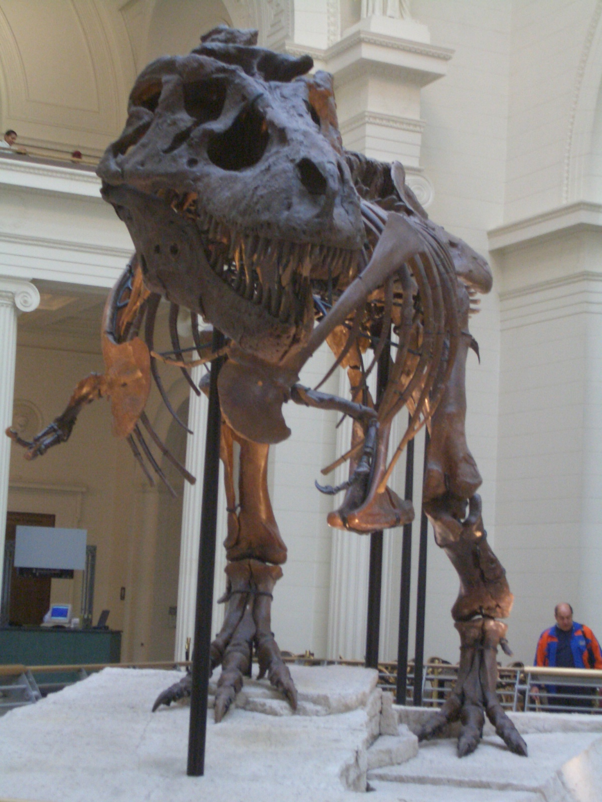 Discovering Darwin: 2016