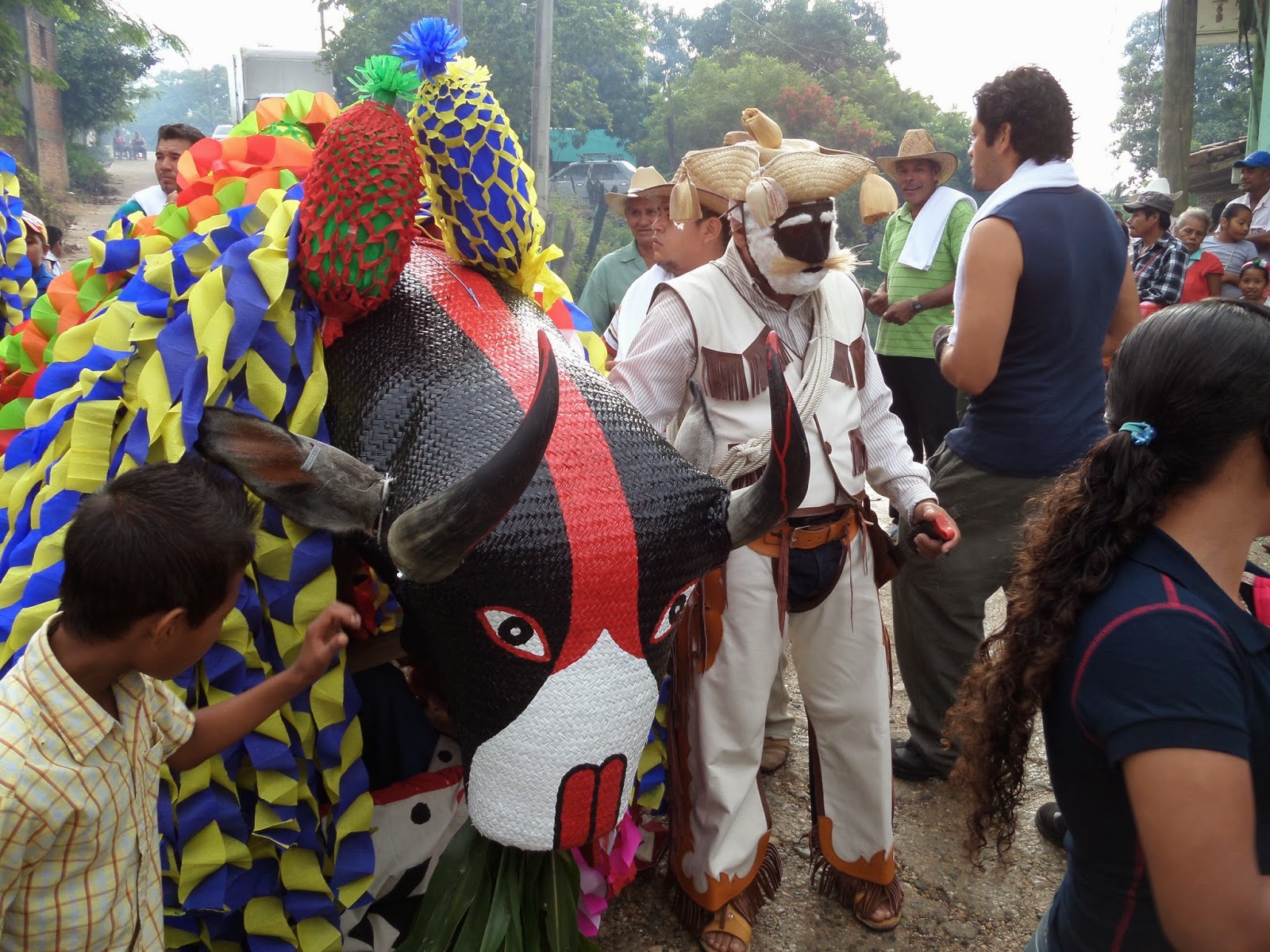 PAZ UNIÓN Y TRABAJO: Danza del Toro de Petate en Ometepec Gro.