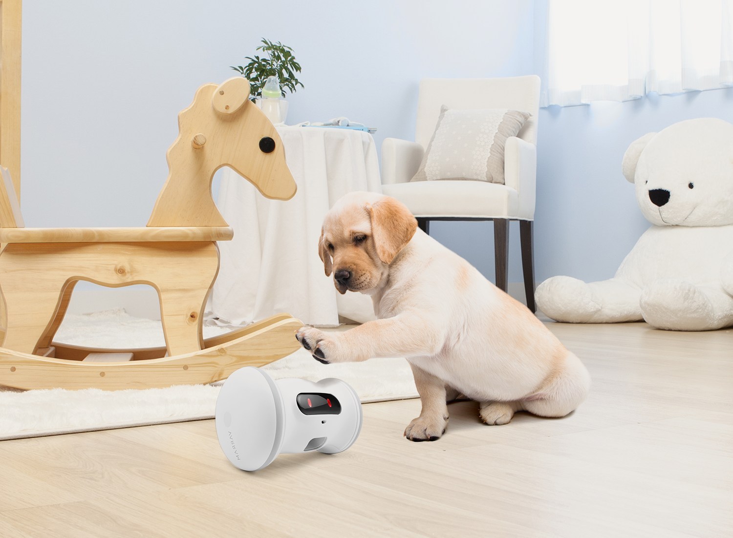 A Robotic Companion for Your Pet: VARRAM Introduces an Artificial ...