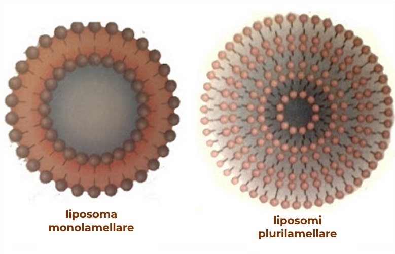 Medichesse di Clo: settembre 2015