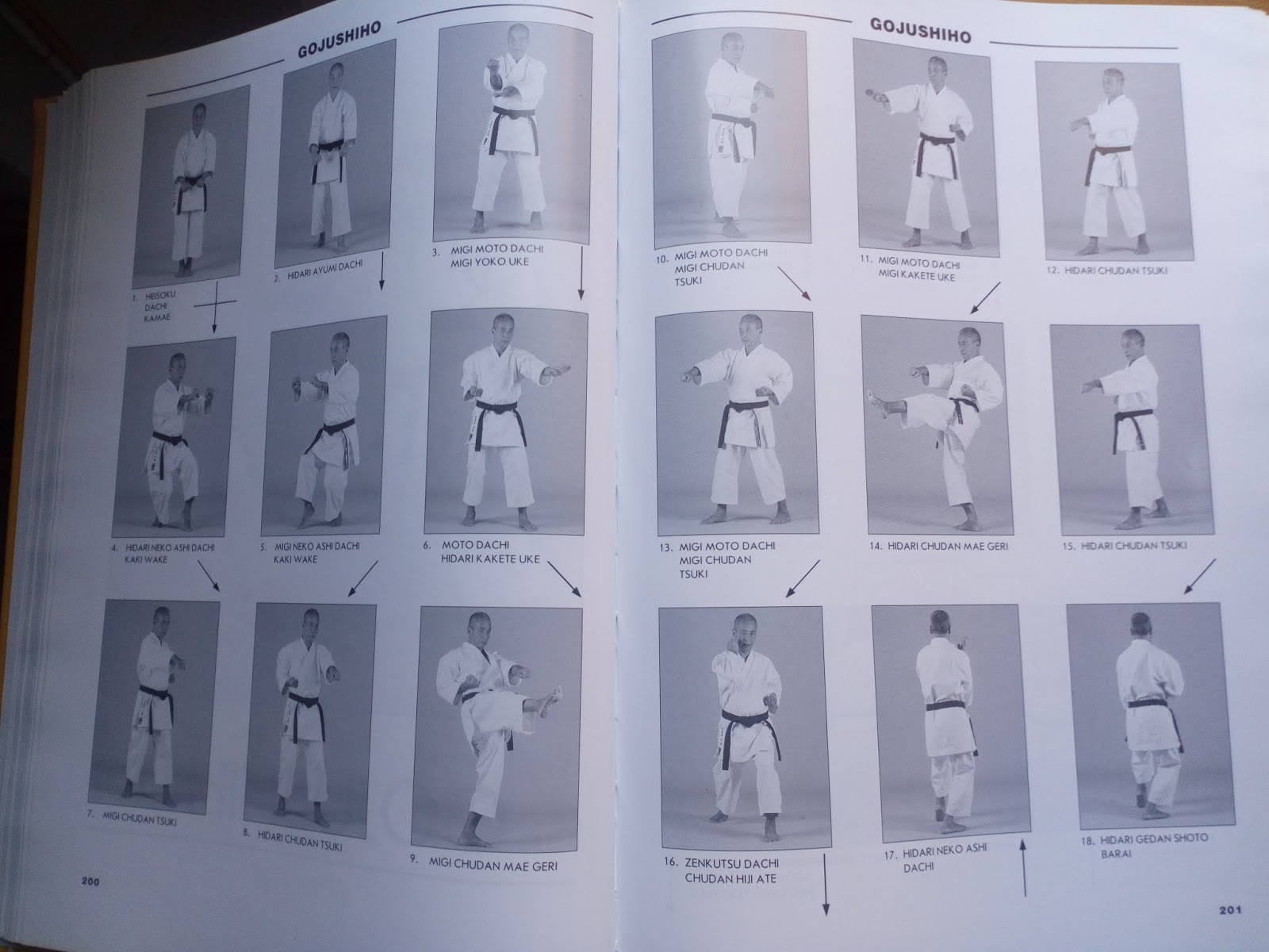 Libro: Tradition Shito Ryu Karate Do ~ Virtual Ryu Kyu Karate