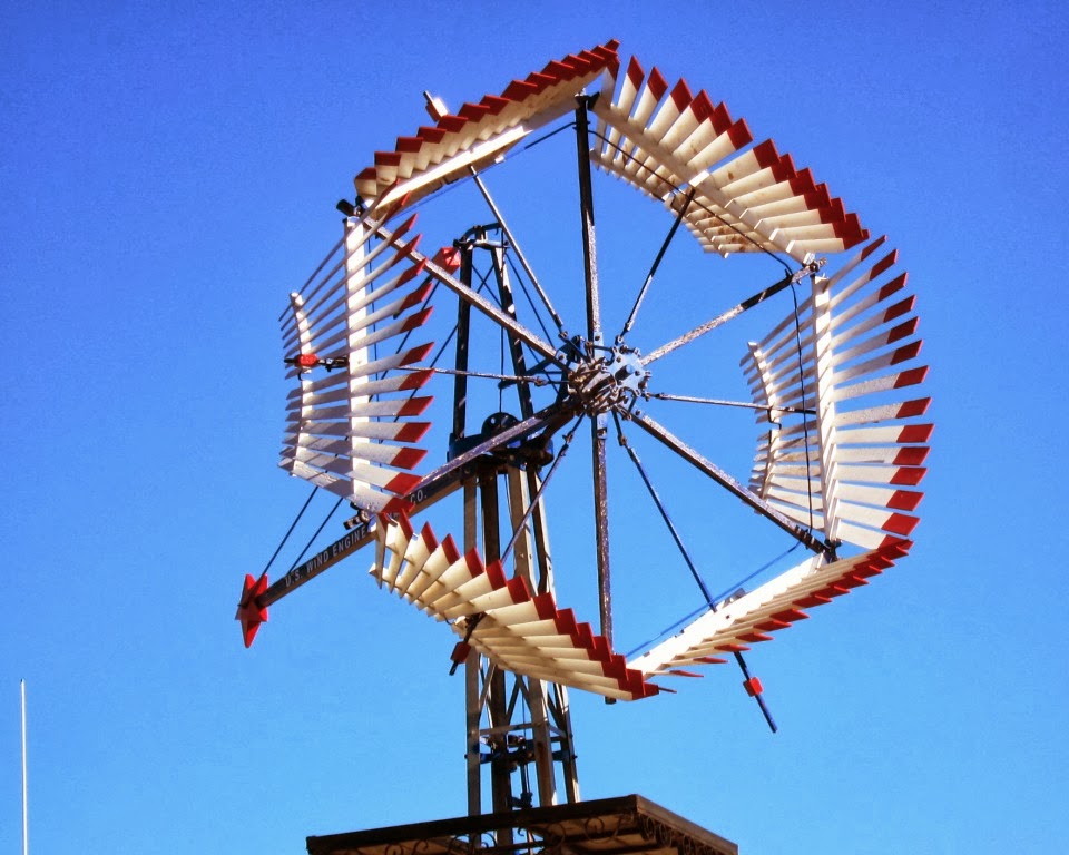 Doves Today: Wind flowers