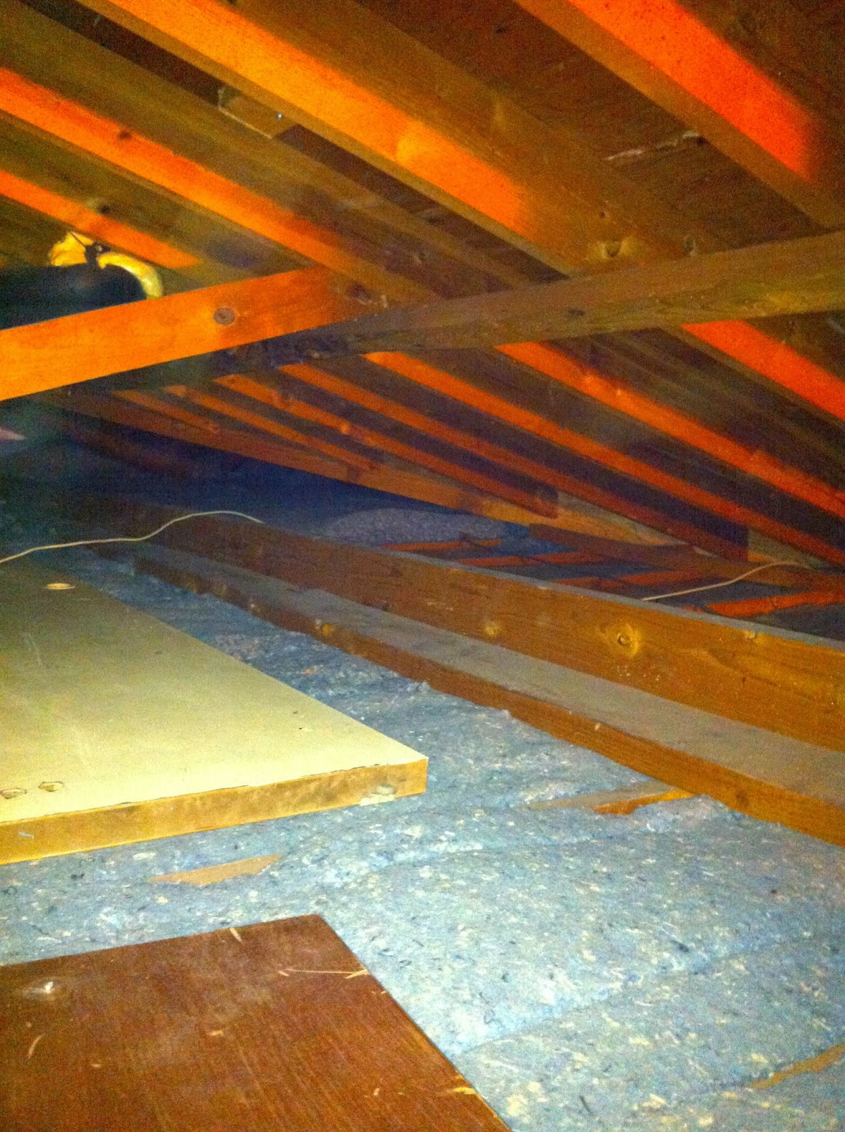 Green in Greenville: Tangled Up in Blue - Blue Jean Insulation, that is