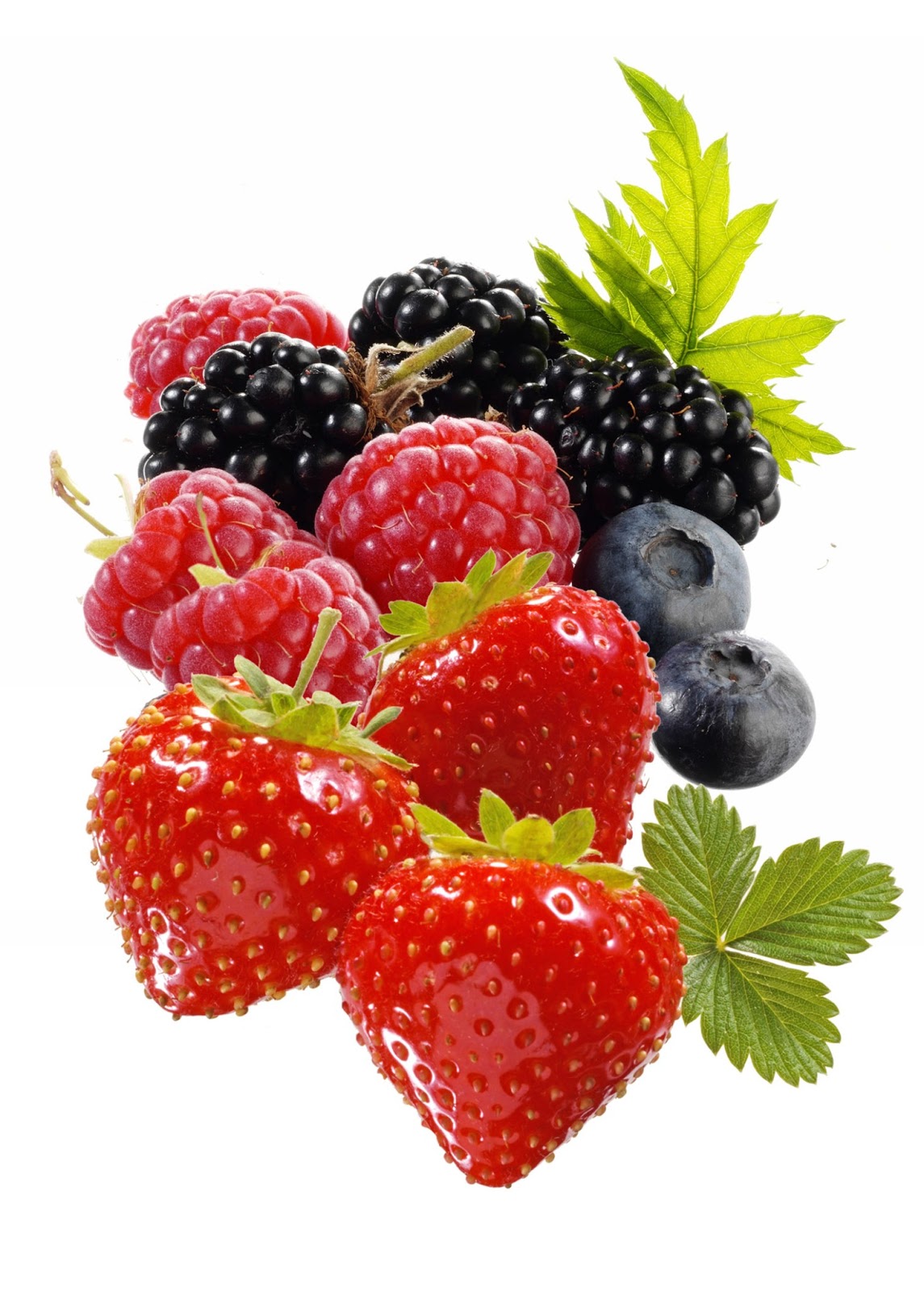 Beerenfrüchte - das Leckerste am Sommer | Fit & Gesund