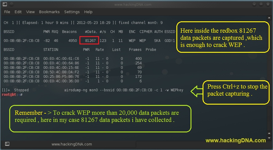 Backtrack c8 - dfwsubtitle