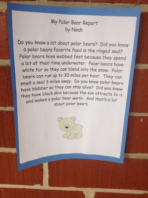 Sunshine, Sand and Scissors: Polar Animals