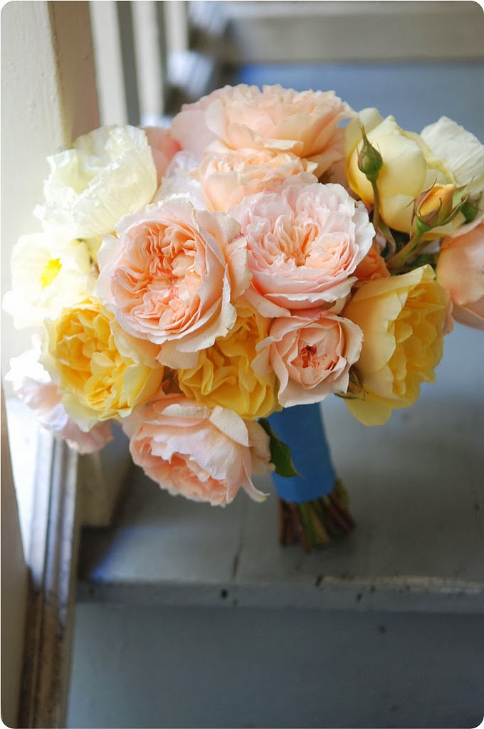 The Pot Kiln Anywhere Blog: Spring is blooming!