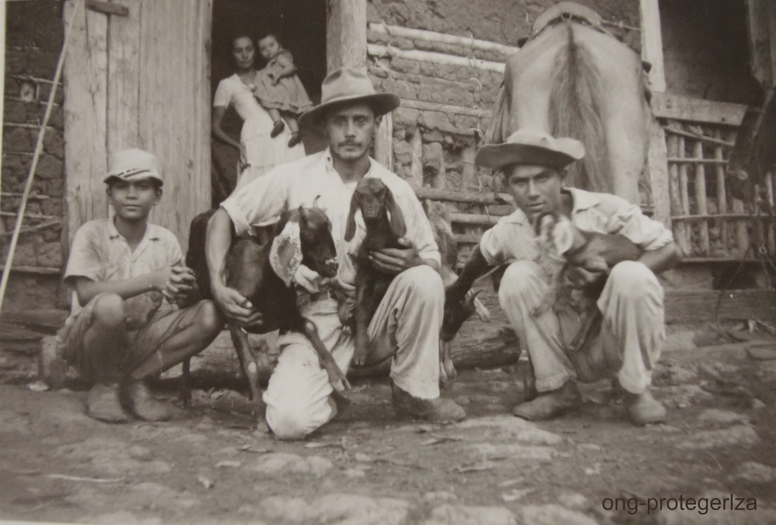 MUSEU DA MEMÓRIA DE LUZIÂNIA: FAZENDA PAPUDA