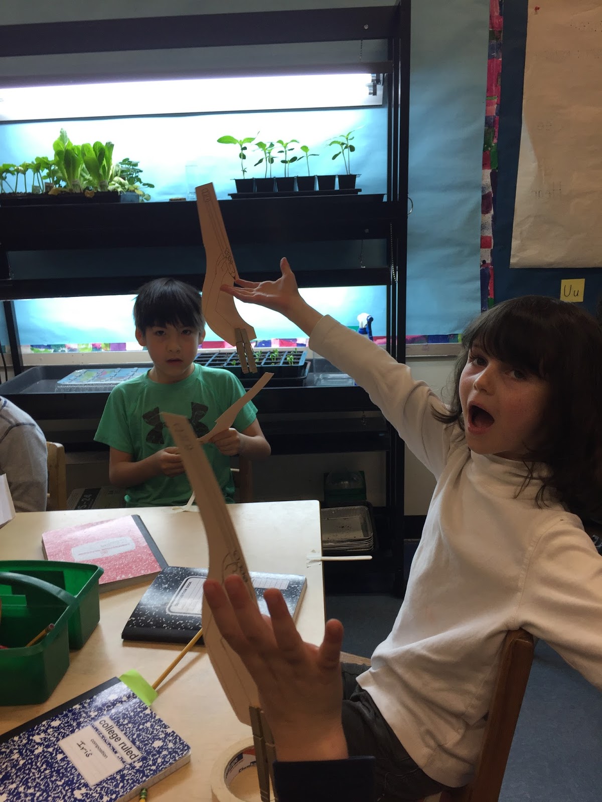 What's Happening in Lower Science?: Balancing a Pencil on the Tip!
