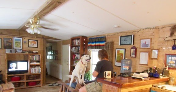 cousin nancy: We Are Family!