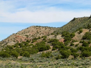 THIS JOURNEY WE CALL LIFE: Jumbled Bones