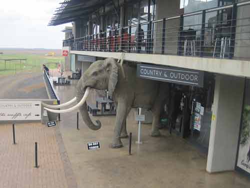 Life Is Better On Vacation: Alzu Petroport