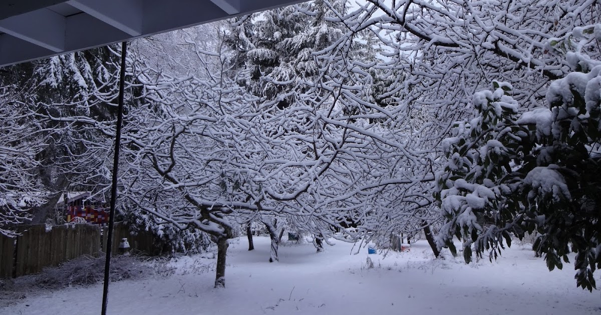 getthewholepicture: Too Much Cold Weather