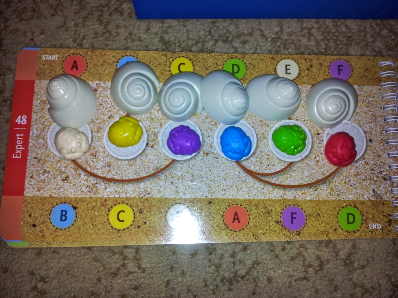 Mom's Thumb Reviews: Shell Memory Game for Kids