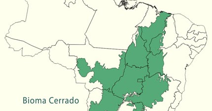 Projeto Fava d´anta e Plantas Bioativas do Cerrado: Conheça o Cerrado