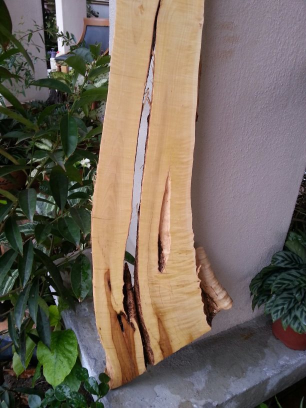 Kayu Warisan Malaysia: Kayu Kemuning emas