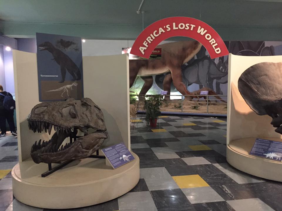 Teaching Adventures in South Africa