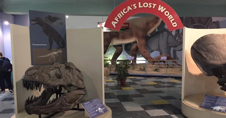 Teaching Adventures in South Africa: Bayworld Museum School