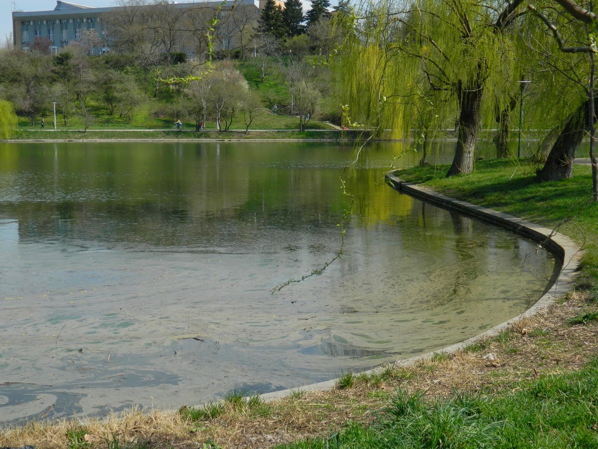 LA MULTI ANI, ROMANIA!: Poze "ecologice" in parcul Tineretului