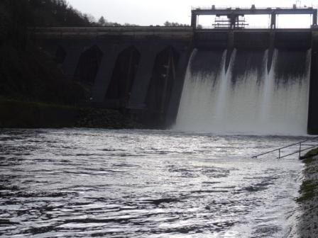 SALMON FISHING IRELAND 2023: Salmon Fishing Ireland 2017 " The Lee River