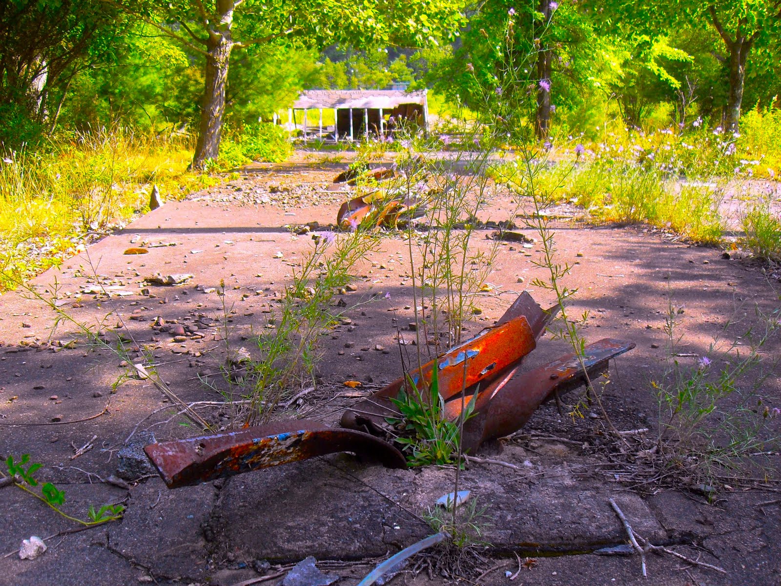 ART SKOOL DAMAGE : Christian Montone: Memento Mori: The Ghost Of Angela ...