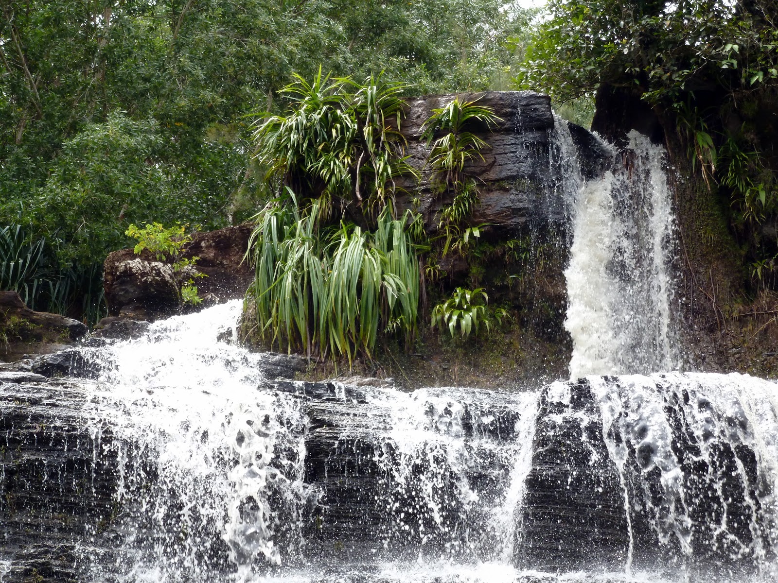 Guamaniacs: Boonie Stomping: Tarzan Falls