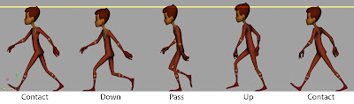 algoMalgo: Animation Study - Walk cycle
