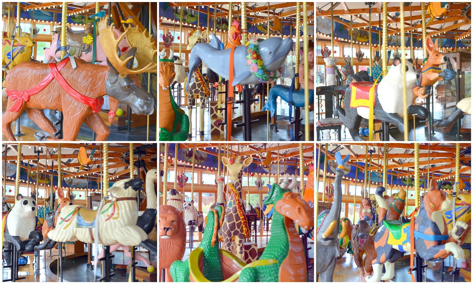 Mille Fiori Favoriti: Carousel of Happiness