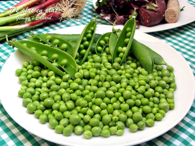 Josep Lleixà: La dieta del pèsol