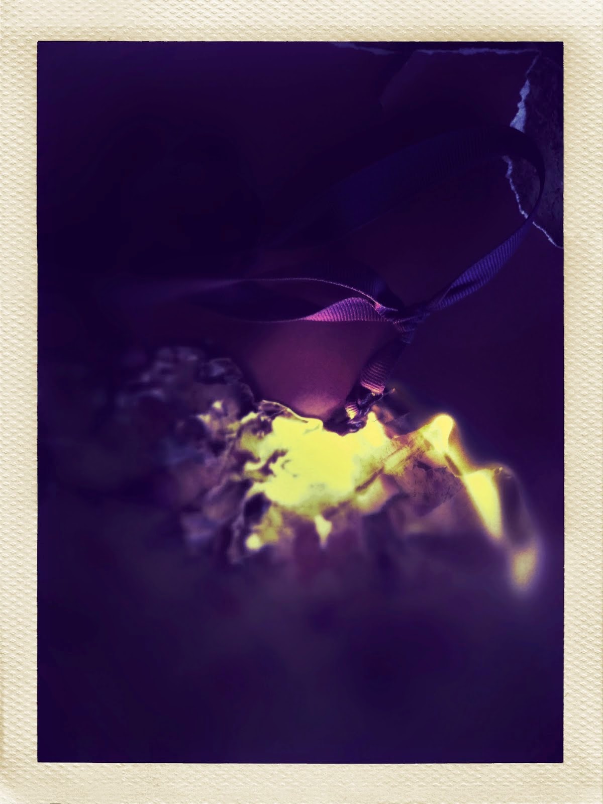 The Silver Fox: The Veiled Empress of Extreme – ‘Myrrh Casati’ by ...